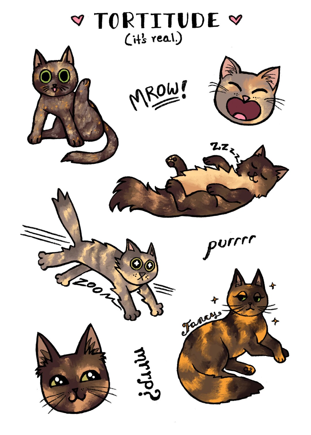 Tortitude Sticker Sheet - Etsy