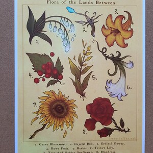 Flora of Elden Ring Prints - Etsy
