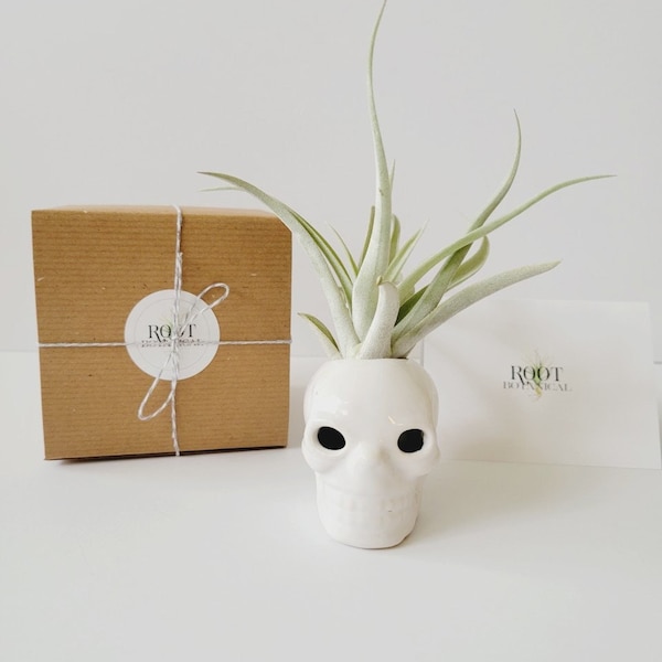 Skeleton Planter - Etsy