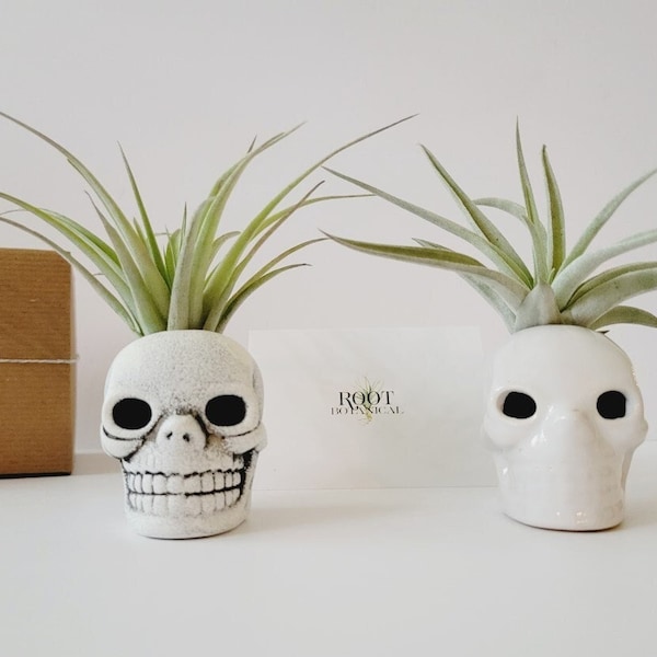 Skull Planter - Etsy