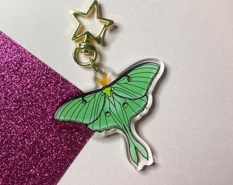 Luna Moth Silk Moth Life Cycle Acrylic Dangle Charms - Etsy UK