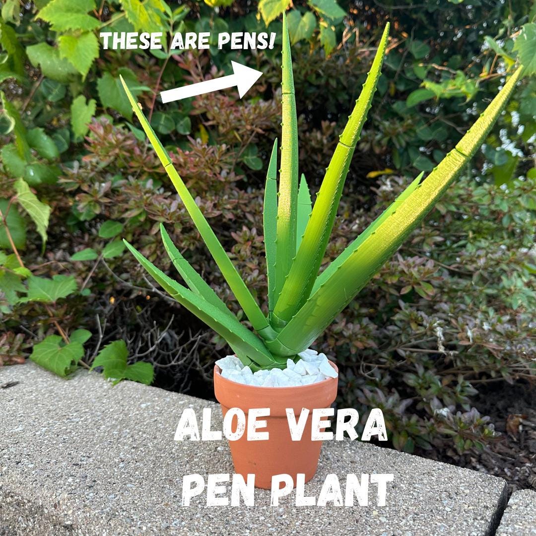 Aloe Vera Pen Plant | Forever Aloe Plant | Desk Plant - Etsy