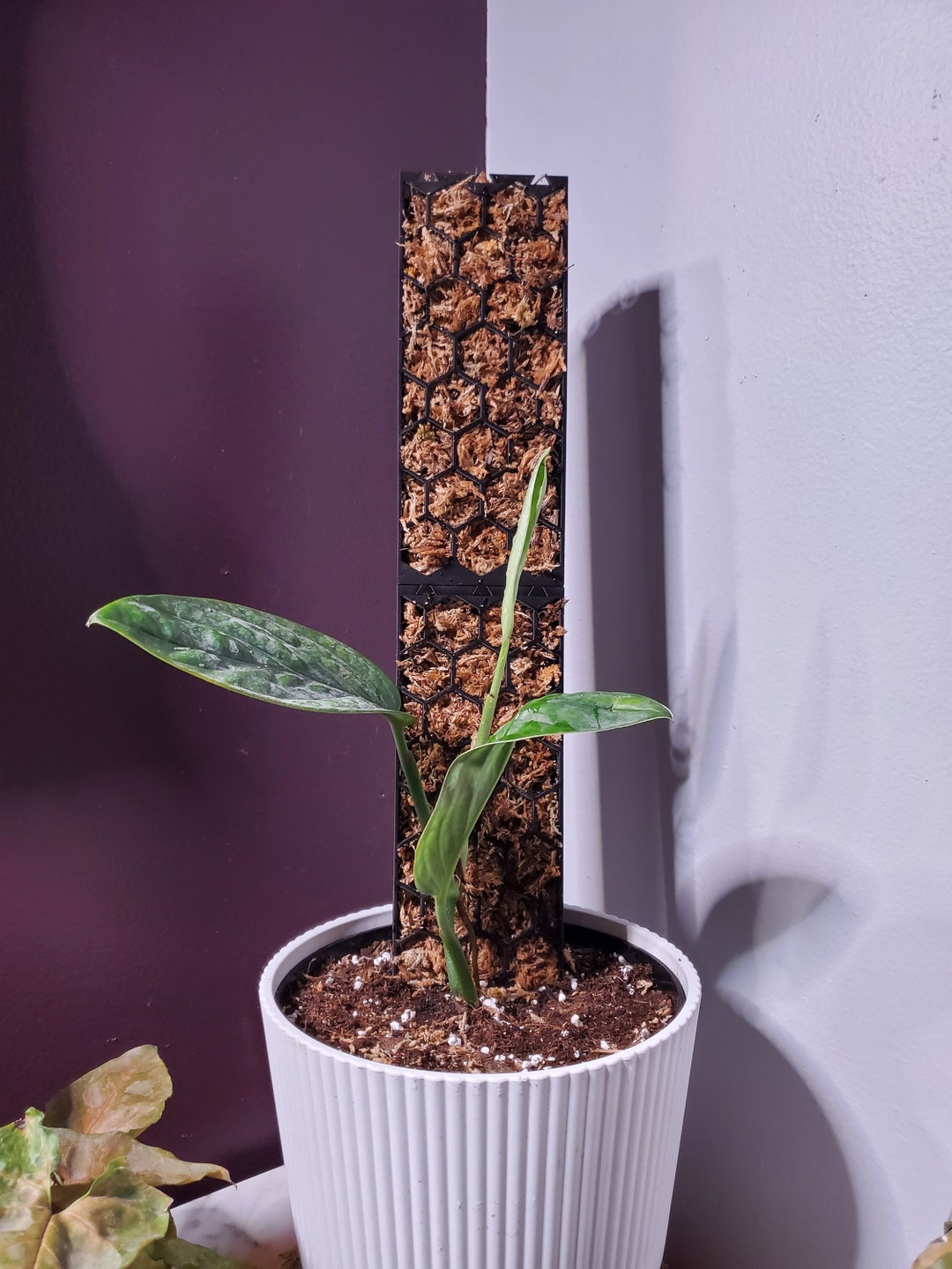 3d Printed Stackable Moss Pole - Etsy