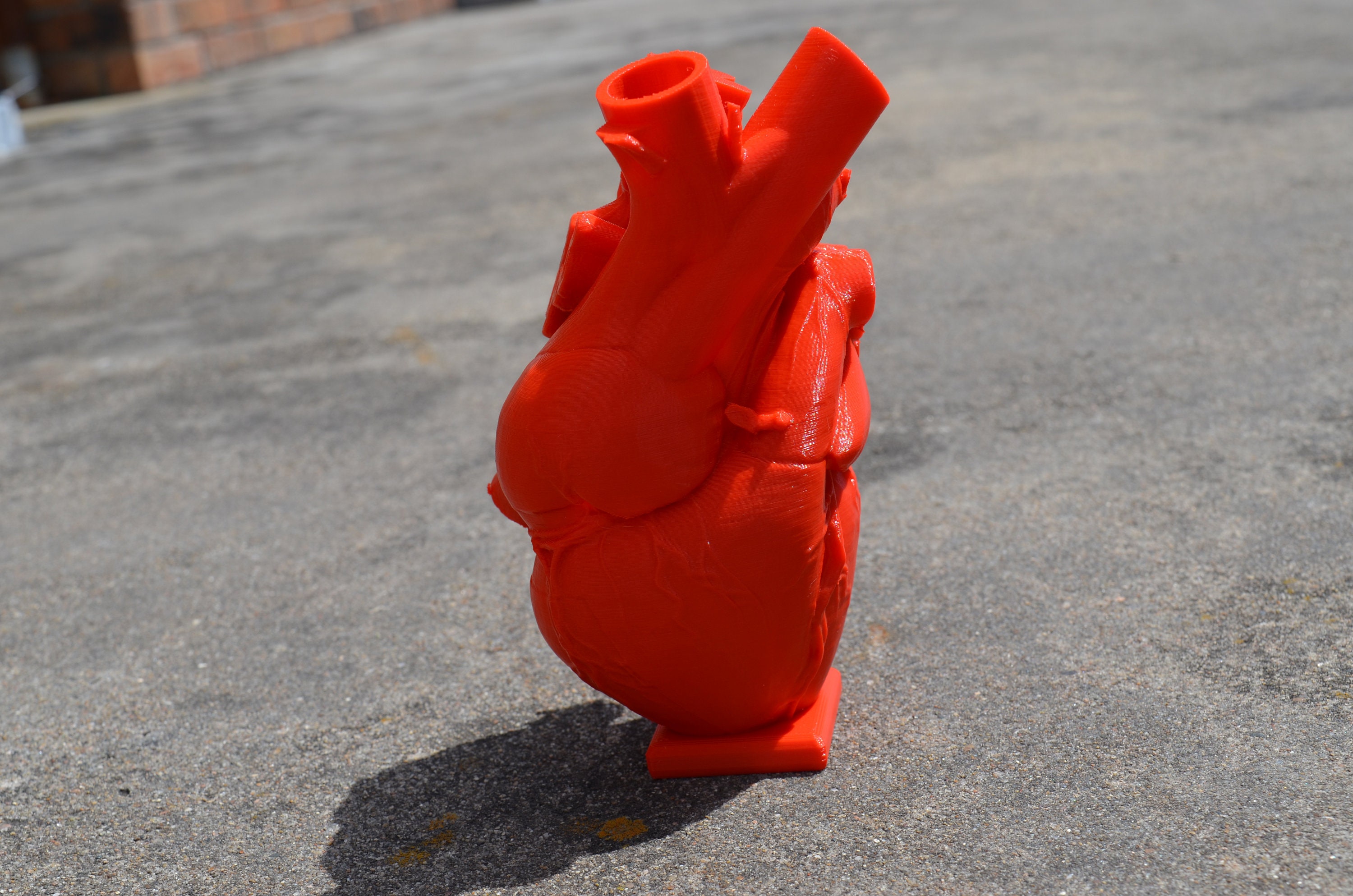 3d Printed Anatomical Heart Vase No Base | Etsy