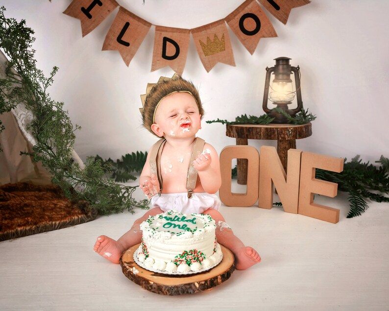 WILD ONE 1st BIRTHDAY Digital Backdrop Background Photography Template ...