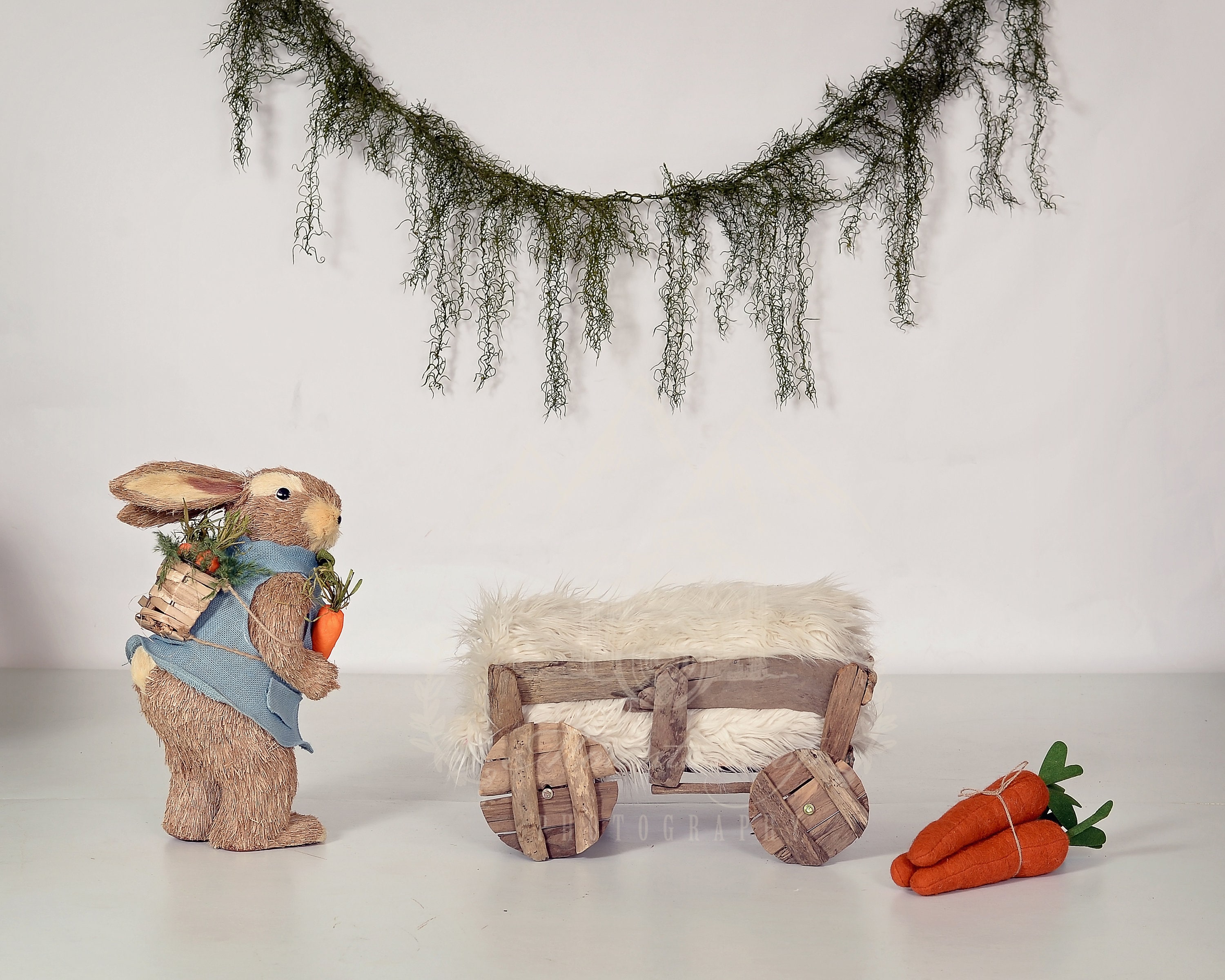 Peter Rabbit Newborn Sitter Wood Crate Easter Spring Bunny Moss Carrot ...