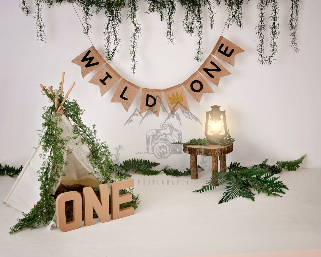 WILD ONE 1st BIRTHDAY Digital Backdrop Background Photography Template ...