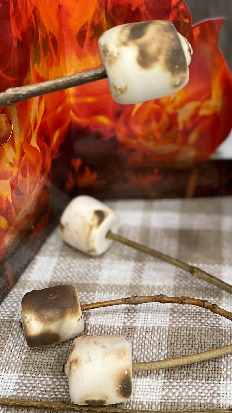 Fake Roasted Marshmallows smore decor smore tiered stand | Etsy