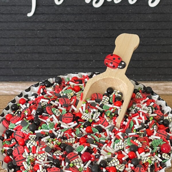 Ladybug Decor - Etsy