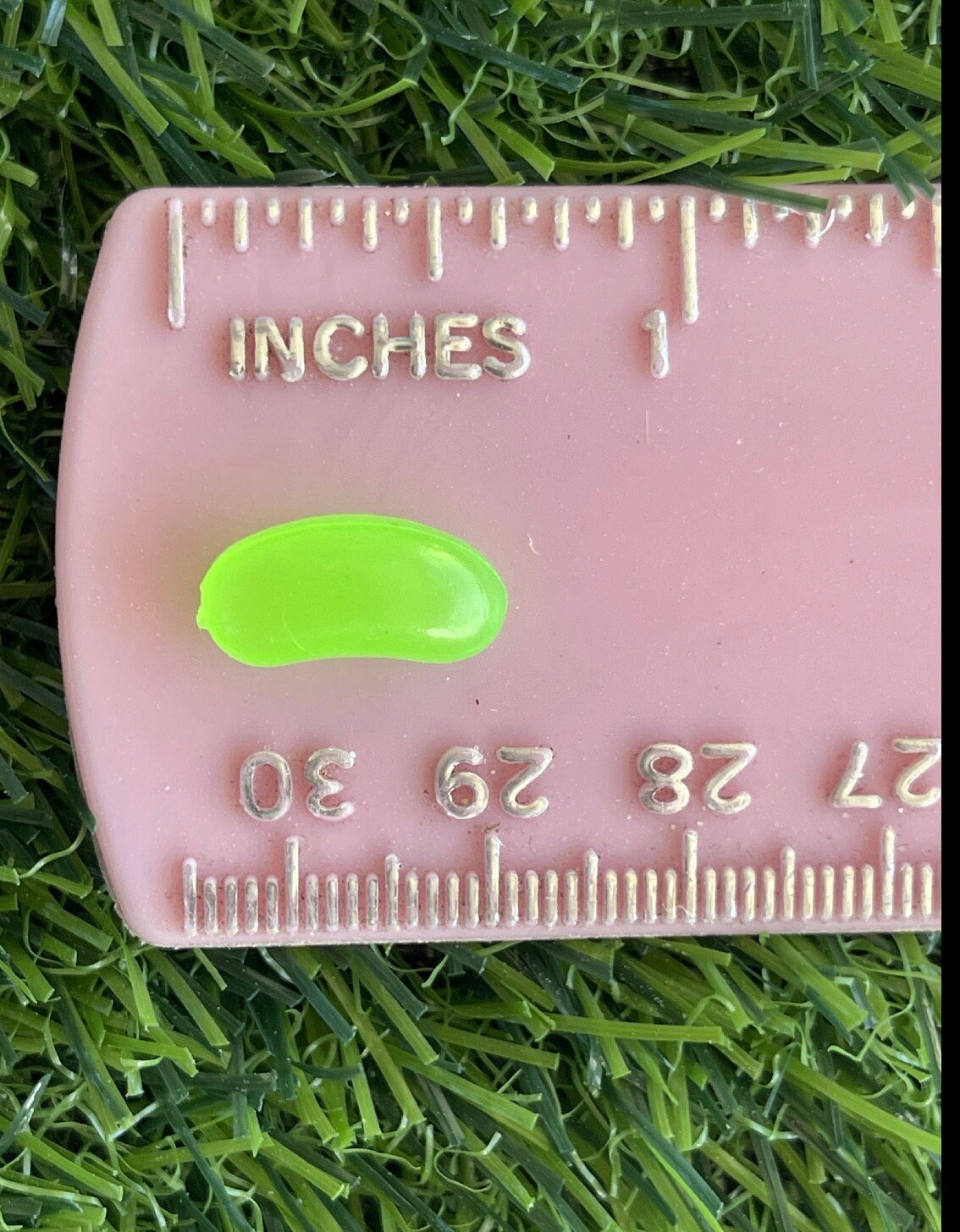 Fake Jelly Beans |fake Easter Candy | Candy Props for Easter | Jelly ...
