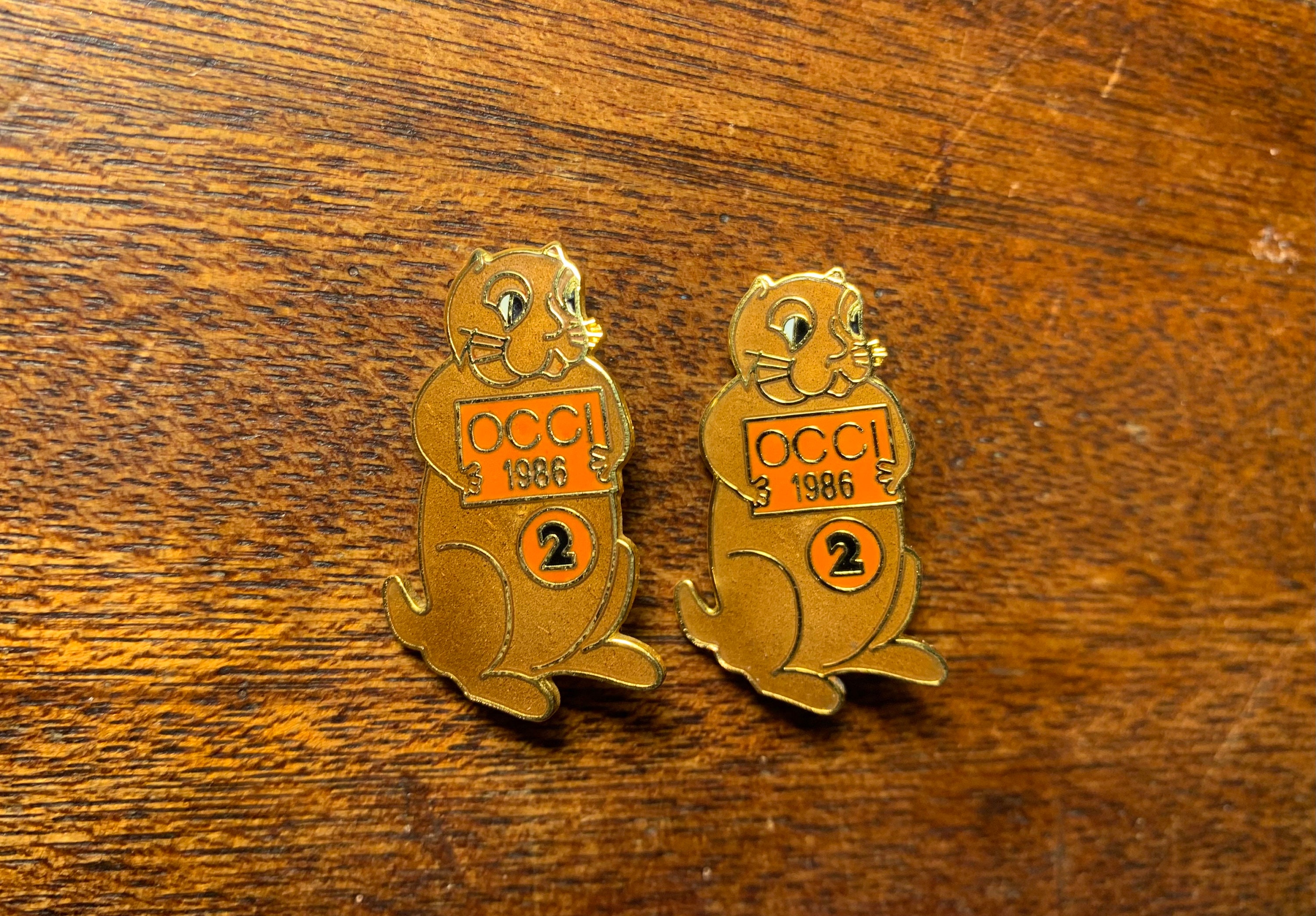 Vintage 1980s OCCI Groundhog Hog Motorcycle Race Biker Pins Sold ...