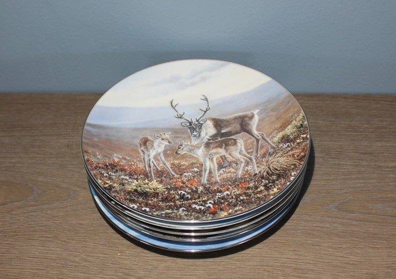 Vintage 1990s Set of Five Joan Sharrock Treasures of the Artic | Etsy