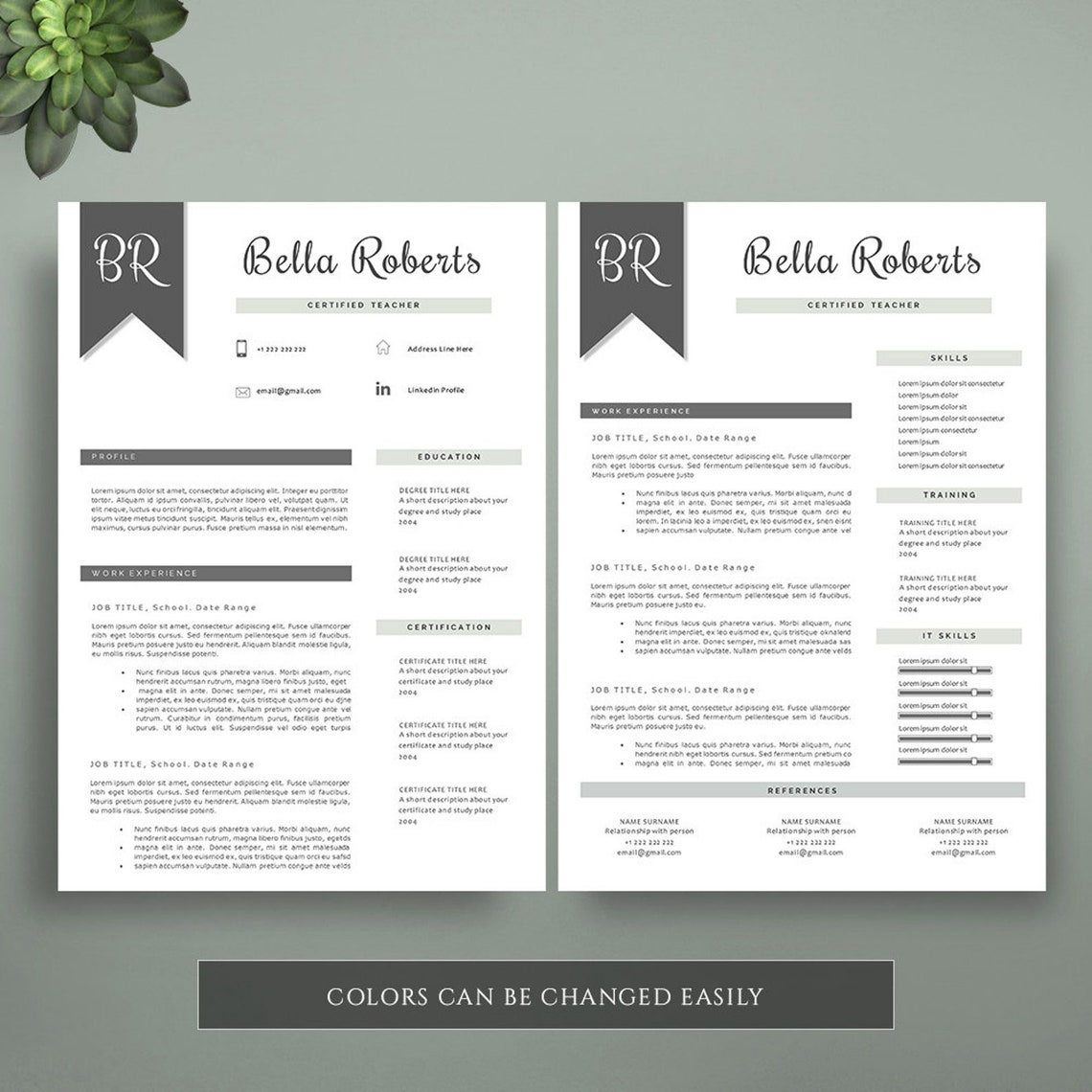 Teacher Resume Template for Word and Pages, Professional Resume ...