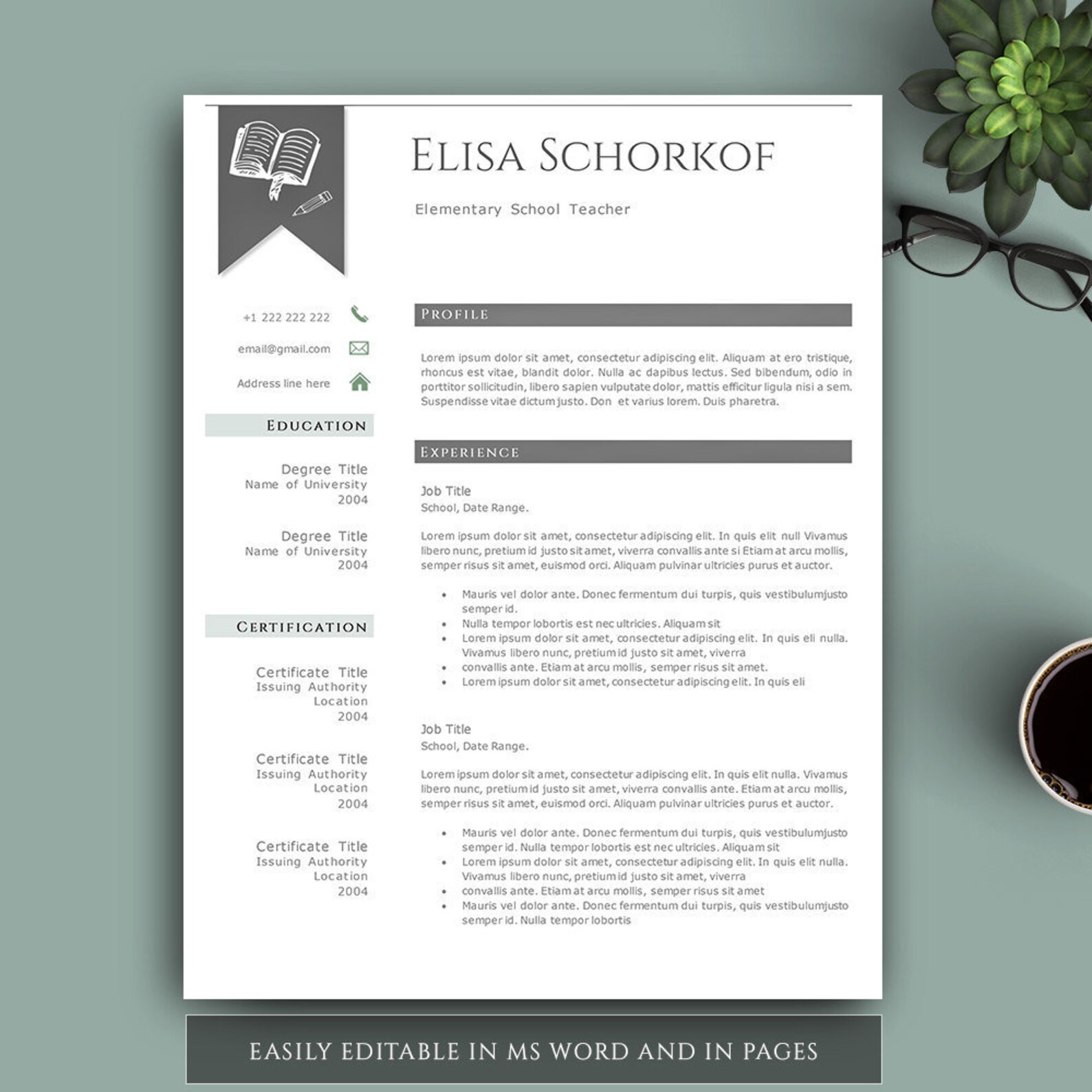 Teacher Resume Template. Creative Resume Template. Professional 1,2,3 ...
