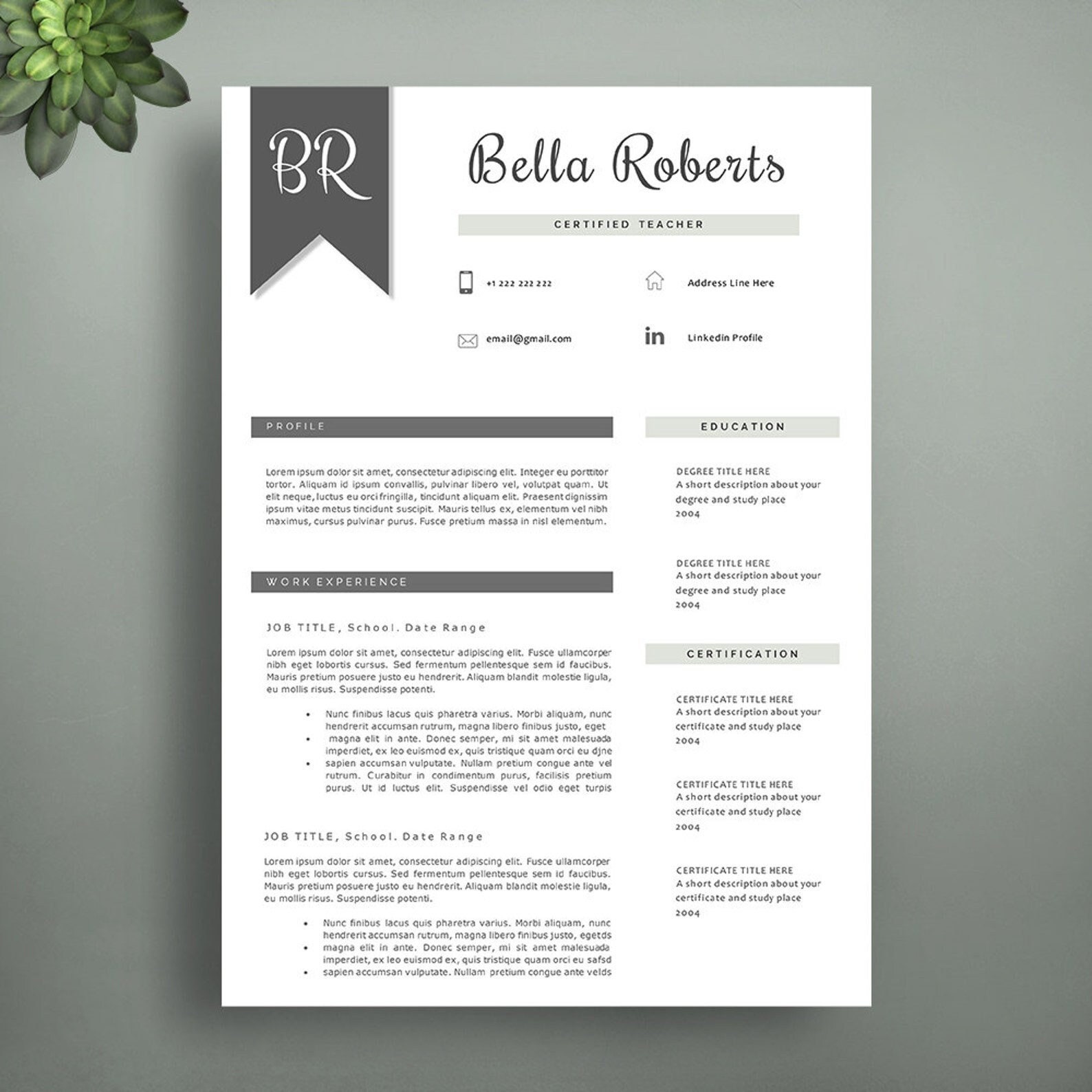 Teacher Resume Template for Word and Pages, Professional Resume ...