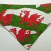 Welsh Flag Tie on Dog Bandana - Etsy
