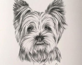 Yorkie sketch | Etsy