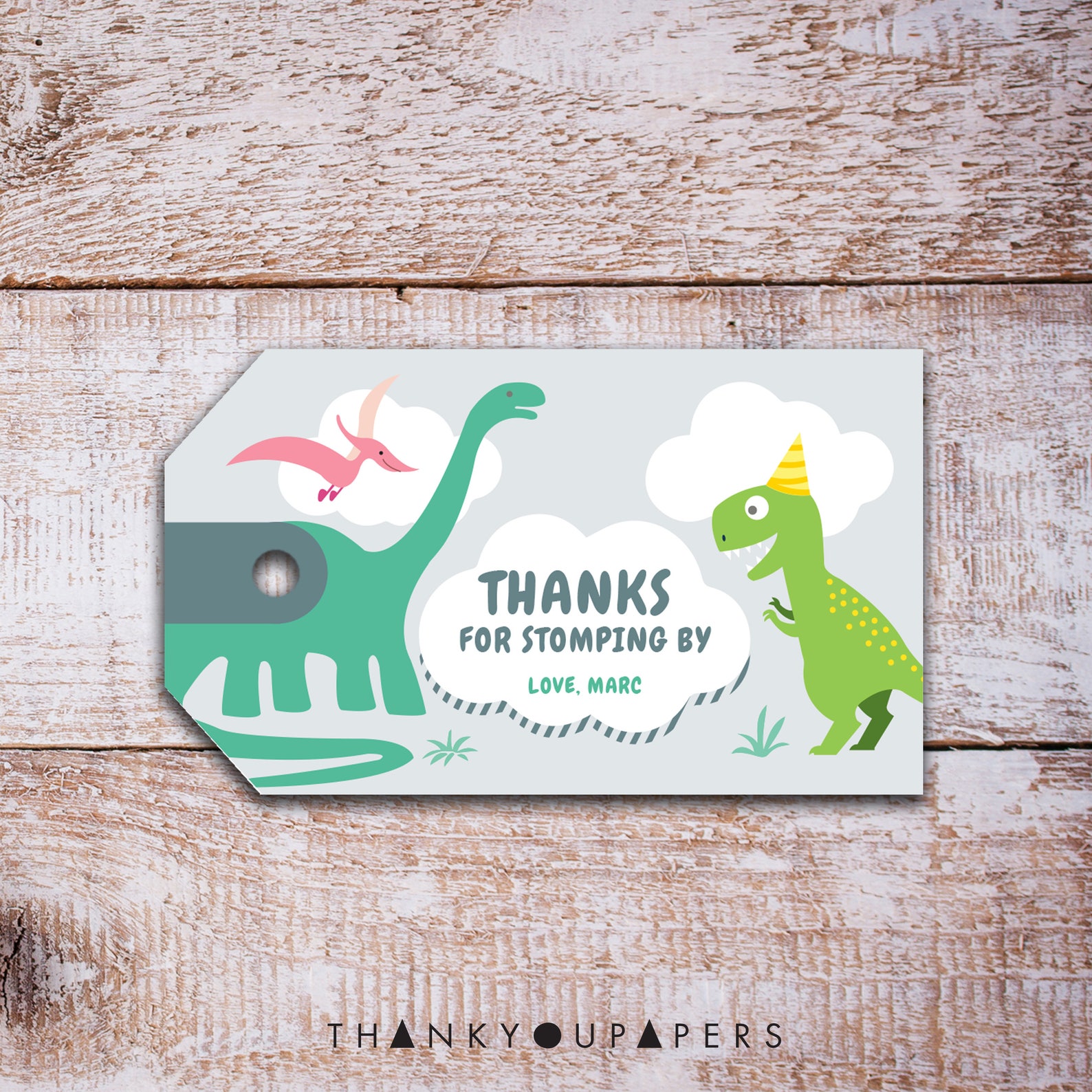 Dinosaur Party Gift Favor Thank You Tags Birthday Tag First - Etsy
