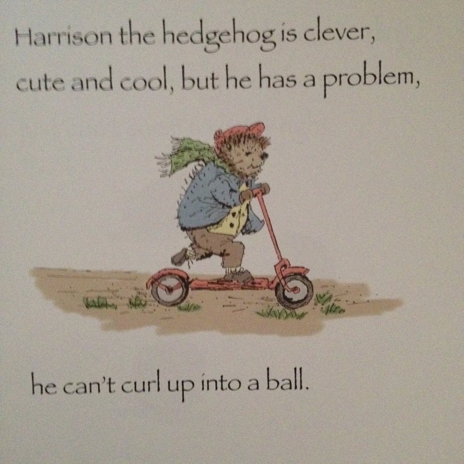 Harrison the Hedgehog Www.victoriabrockauthor.co.uk - Etsy