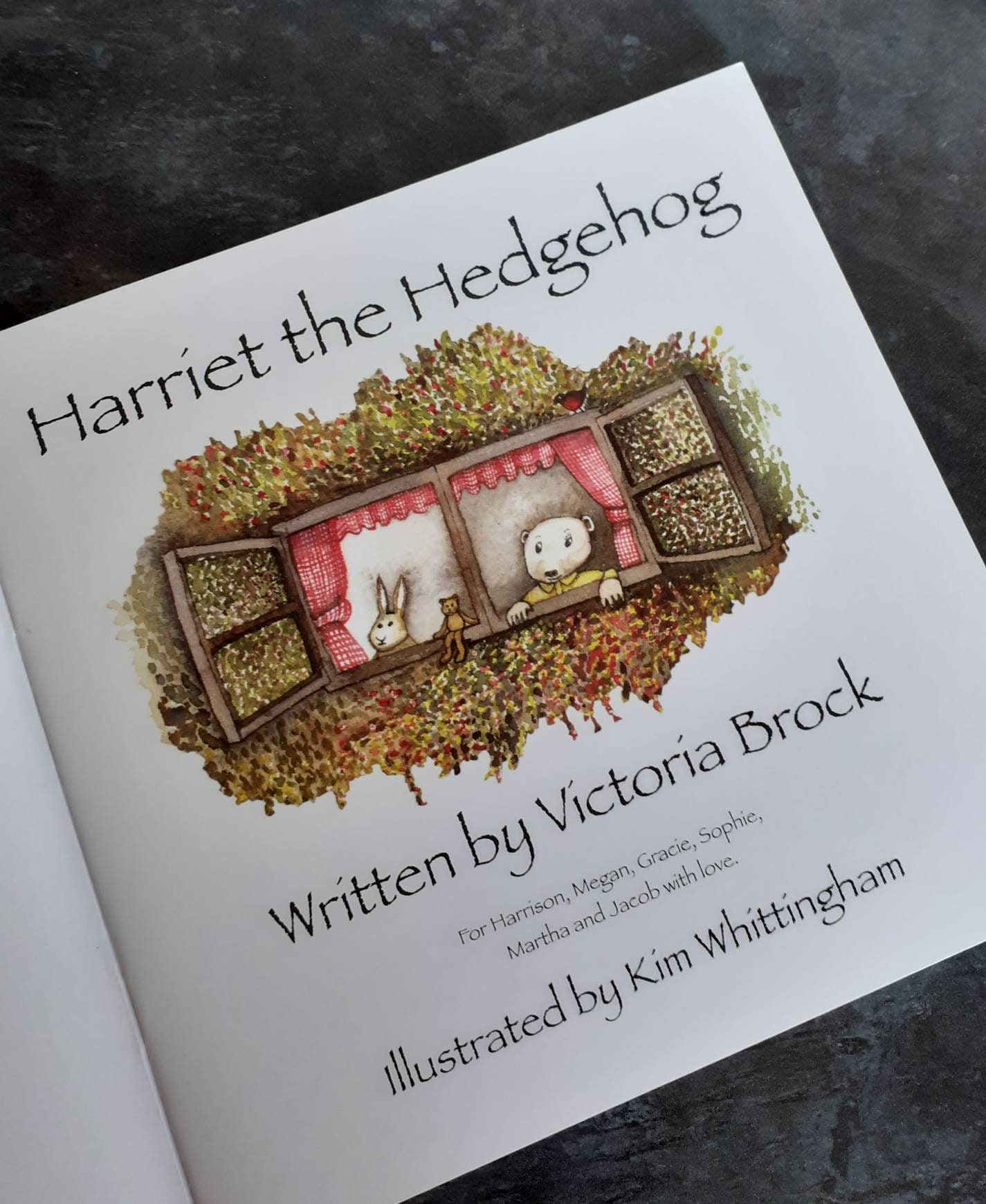 Harriet the Hedgehog Www.victoriabrockauthor.co.uk - Etsy