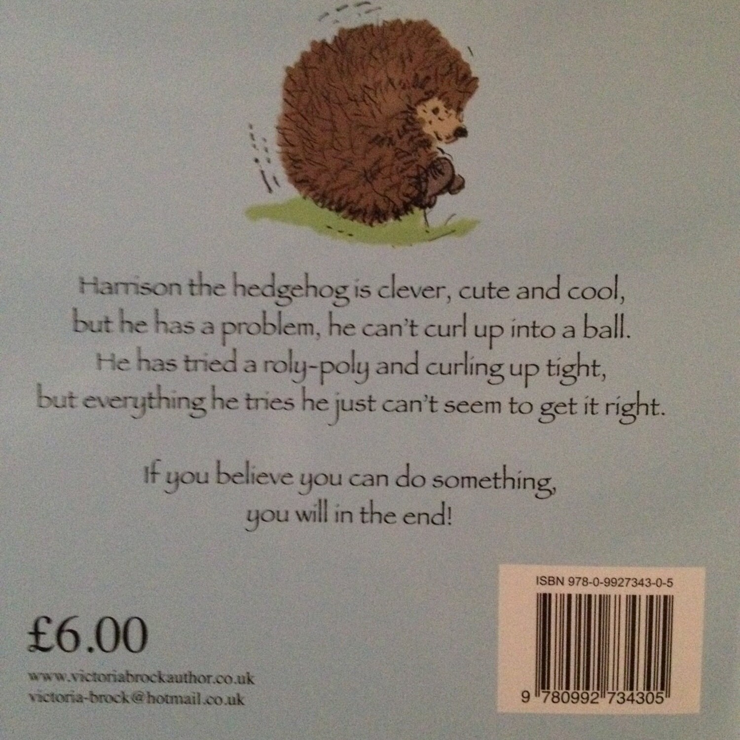 Harrison the Hedgehog Www.victoriabrockauthor.co.uk - Etsy