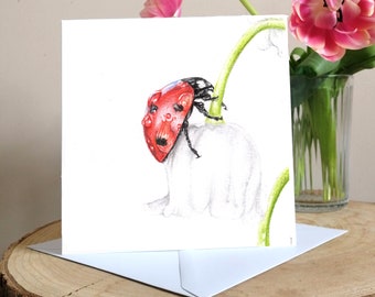 Ladybird Card, Ladybird Birthday Card, Love Card, Ladybird Painting ...