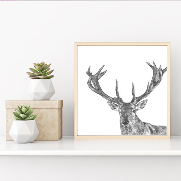 Stag Print - Etsy