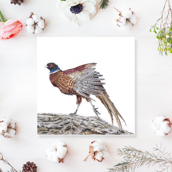 Pheasant Greetings Card Wildlife Card Blank Card Game | Etsy