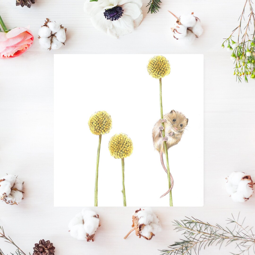 Harvest Mouse Card, Cute Mouse Card, Mouse Gifts, Wildlife Card - Etsy