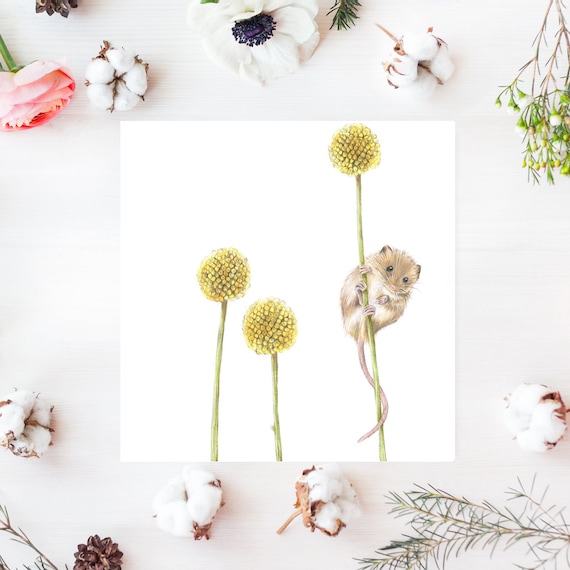 Harvest Mouse Card Cute Mouse Card Mouse Gifts Wildlife - Etsy