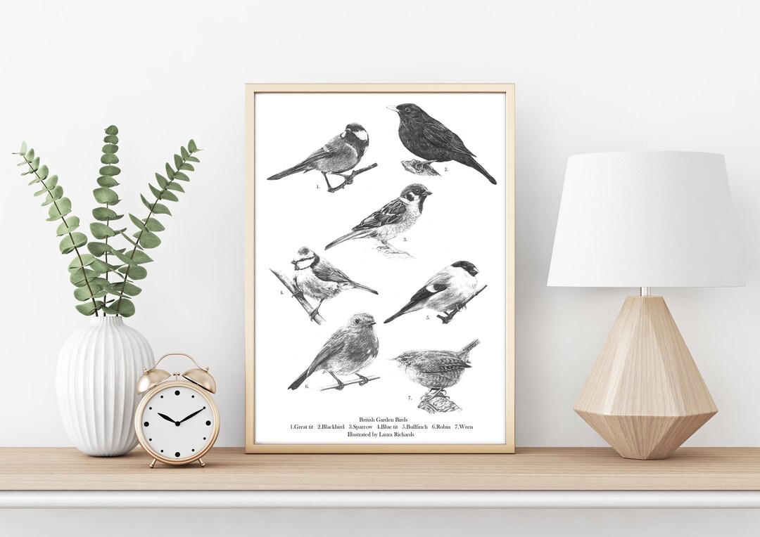 British Birds Print | British Garden Birds Print | Bird Giclée Print ...