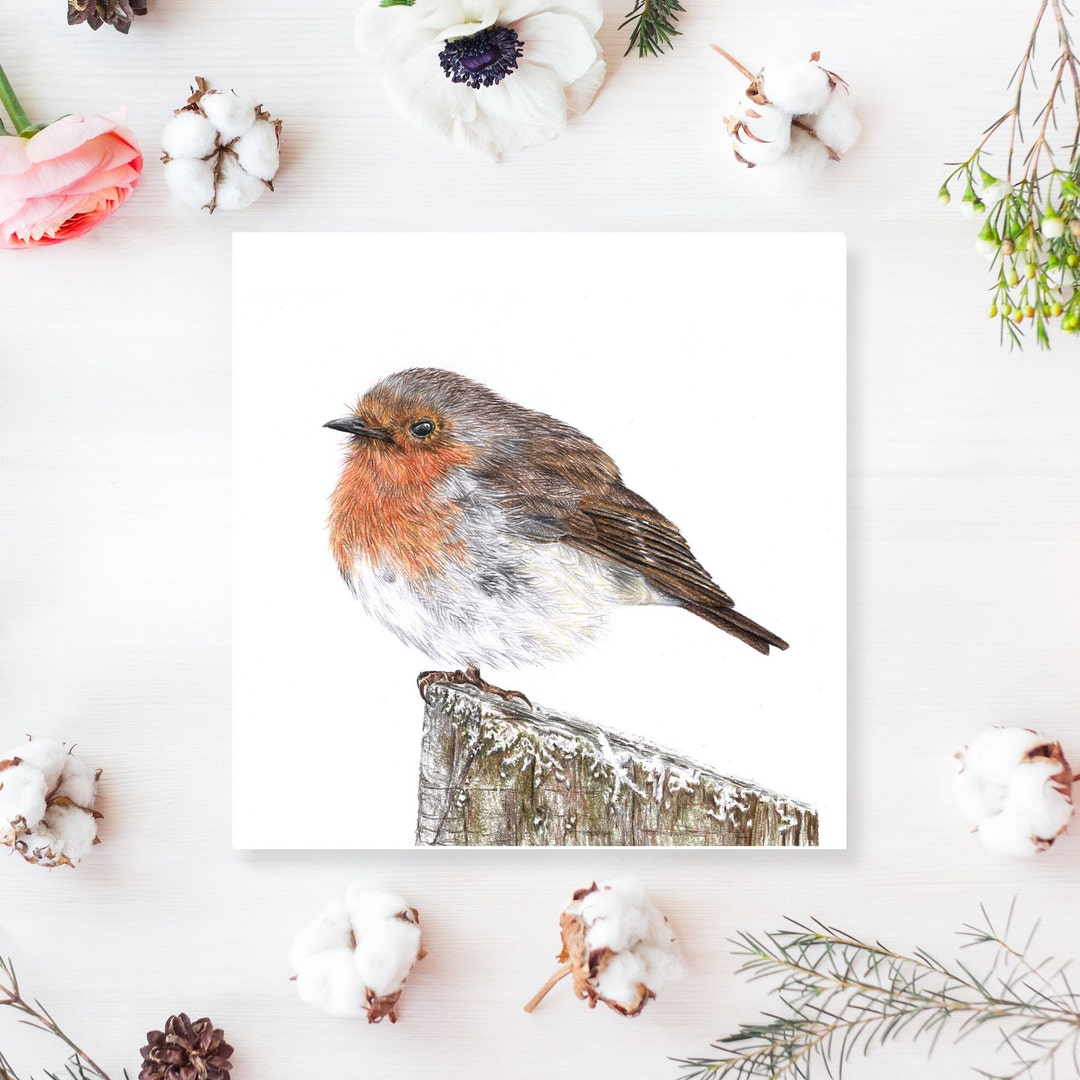 Robin Greetings Card Birds Card Robin Garden Bird Cards Blank Card - Etsy