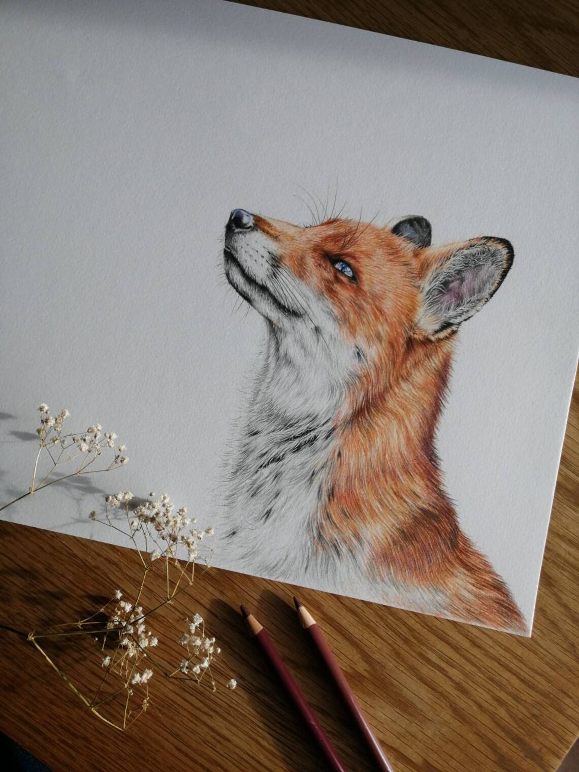 Original Fox Drawing - Etsy