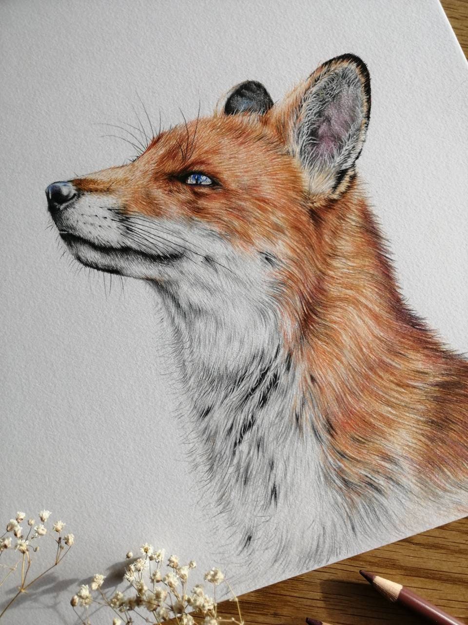 Original Fox Drawing - Etsy