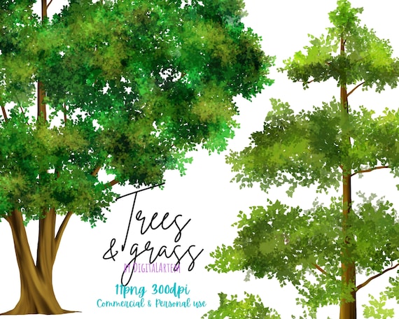 Trees Clipart Forest Clipart Realistic Forest Clipart - Etsy UK