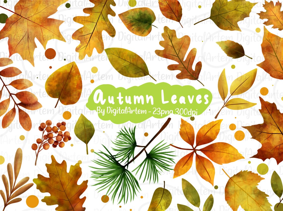 Fall Leaves Clipart Autumn Leaves Clipart Orange Leaf - Etsy