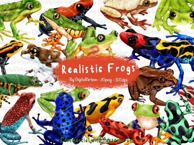 Realistic Frog Clipart - Cute Colorful Frogs Clipart - Tropical Frogs ...