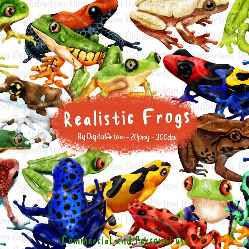 Real Frog - Etsy
