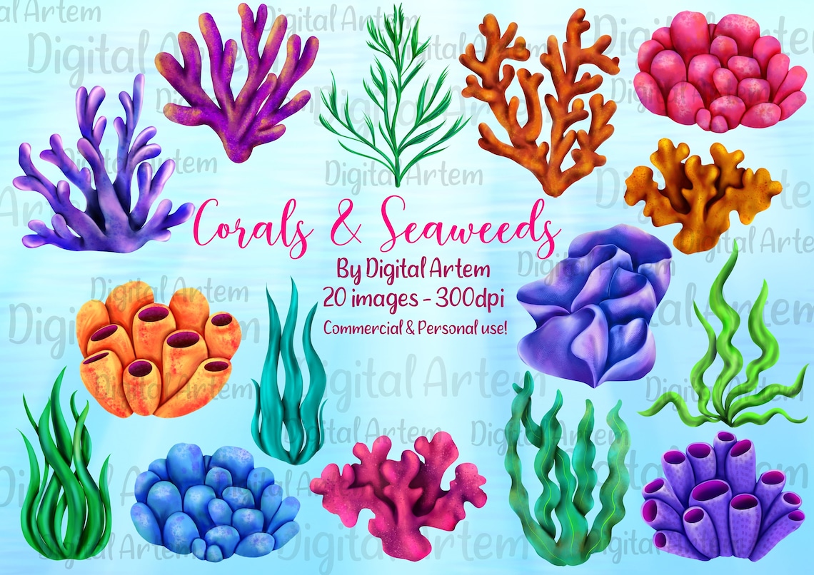 Coral and Seaweed Clipart Underwater Clipart Coral Reef - Etsy