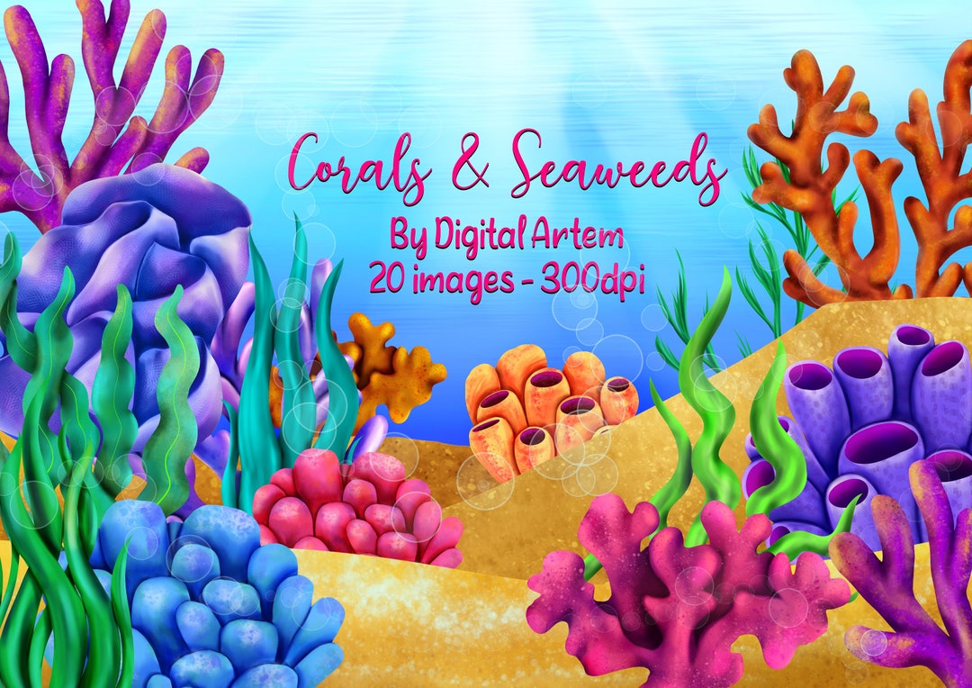 Coral and Seaweed Clipart - Underwater Clipart - Coral Reef Clipart ...
