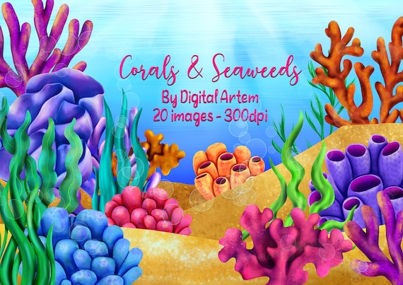Coral and Seaweed Clipart Underwater Clipart Coral Reef | Etsy Australia