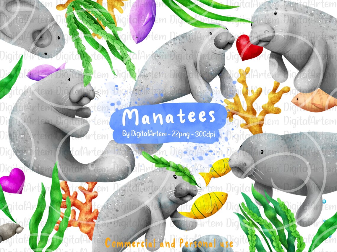 Manatee Clipart Cute Manatee Clipart Set Manatee Png - Etsy