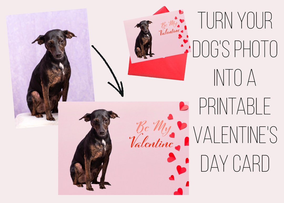 Dog Valentine Day Cards, Custom Valentines Day Cards, Dog Valentines ...