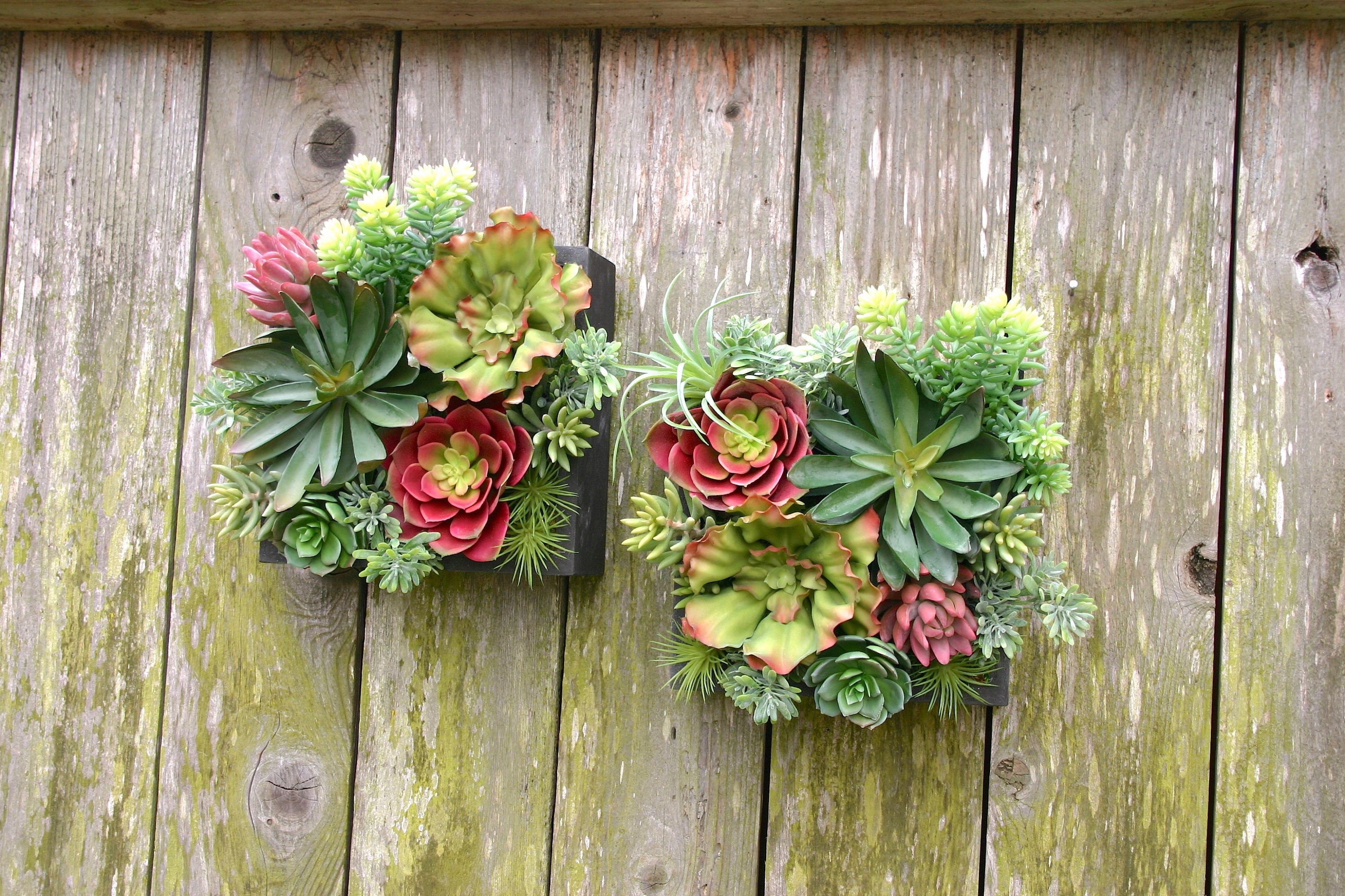Succulent Arrangement, Faux Succulent Wall Hangings Black Wooden Boxes ...