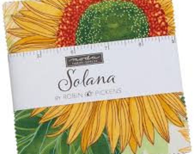 Solana - Charm Pack - by Robin Pickens for Moda Fabric - Etsy