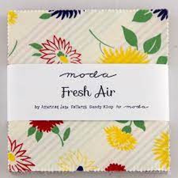 American Jane Charm Pack Fabric - Etsy