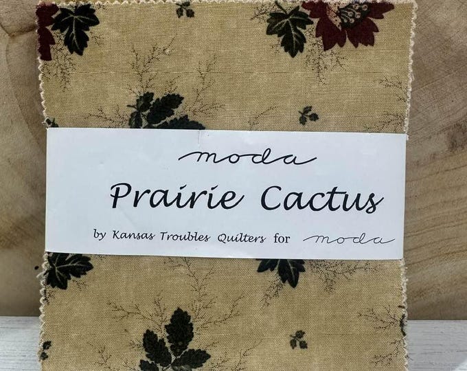 Prairie Cactus - Charm Pack - by Kansas Troubles Quilters for Moda ...