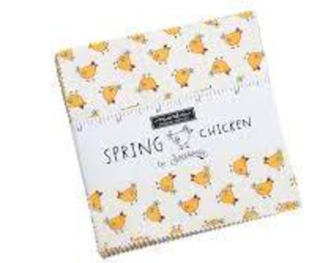 Spring Chicken - Charm Pack - by Sweetwater for Moda Fabric - Etsy