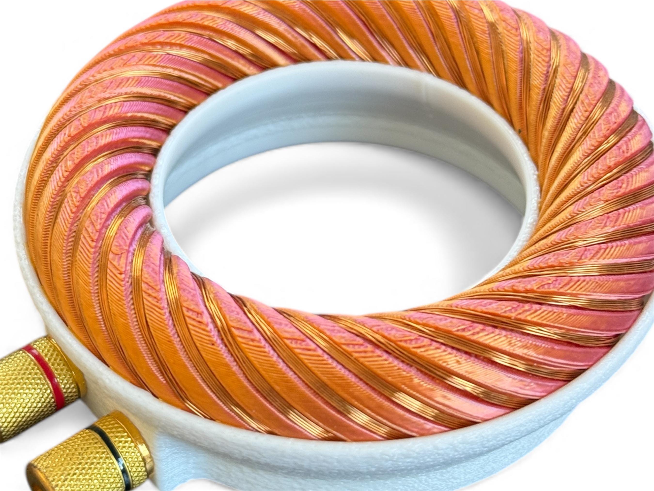 Rodin Coil Scalar Wave Toroidal Field Generator Module, Torsion Field ...