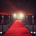 5 Red Carpet Event Background Backdrop Rooms for Photography - Etsy